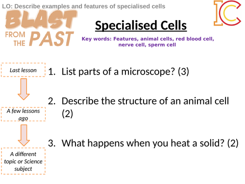 Cell Biology KS3 - Specialised Cells | Teaching Resources
