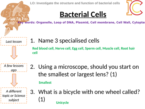 Cell Biology KS3 - Bacteria Cells | Teaching Resources