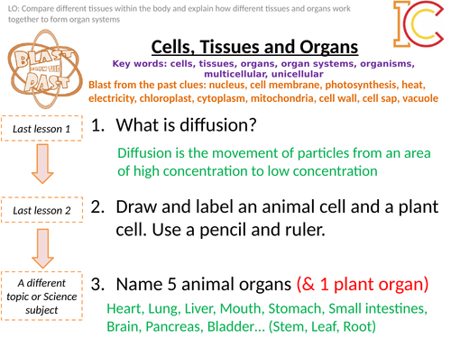 Cell Biology - Cells, Tissues, Organs and Organ Systems | Teaching ...