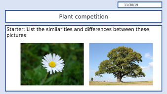 Plant competition and adaptation | Teaching Resources