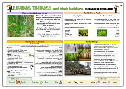 Living Things and their Habitats Knowledge Organisers Primary Bundle ...