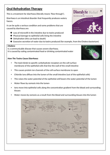 Oral Rehydration Therapy Information and Questions | Teaching Resources