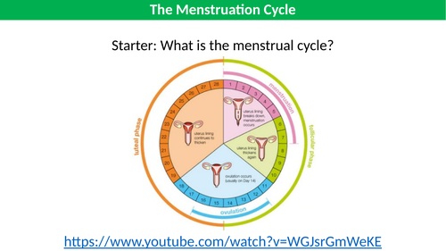 The Menstrual Cycle | Teaching Resources