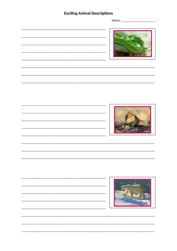 Wild Cat (Collins Big Cat Readers) | Teaching Resources