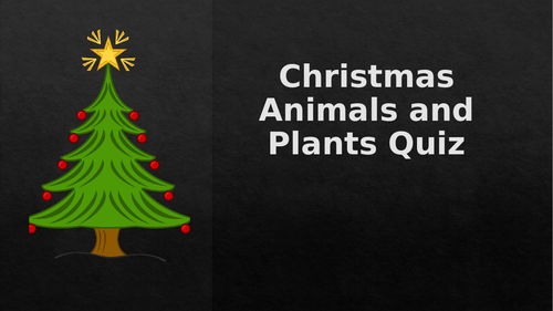 Christmas Quiz - Christmas Plants and Animals | Teaching Resources