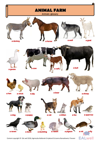 EAL - ANIMAL FARM picture dictionary | Teaching Resources