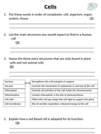 NEW KS3 ~ Year 7 ~ Complete Homework Bundle | Teaching Resources