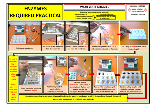 Enzymes Required Practical Instruction Sheet | Teaching Resources