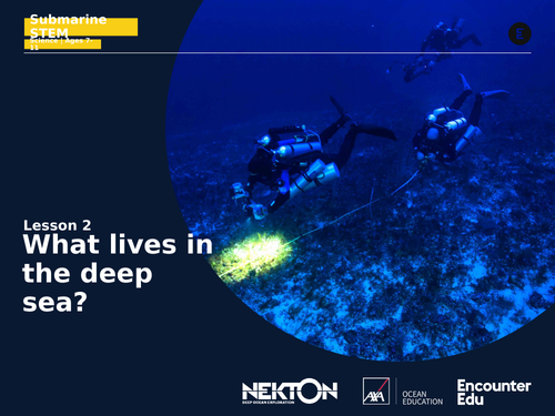 Submarine STEM KS2: What lives in the deep sea? | Teaching Resources