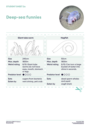 Submarine STEM KS2: What lives in the deep sea? | Teaching Resources