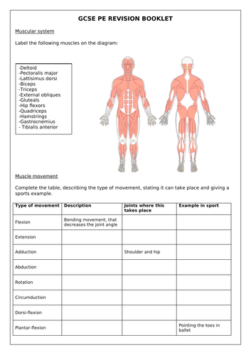 Edexcel Gcse Pe Paper 1 Revision Teaching Resources
