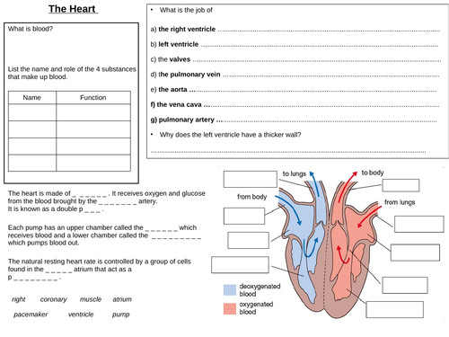 NEW AQA The Heart and Cardiovascular Diseases | Teaching Resources