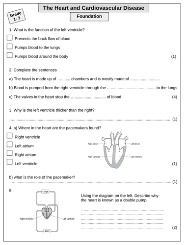 NEW AQA The Heart and Cardiovascular Diseases | Teaching Resources