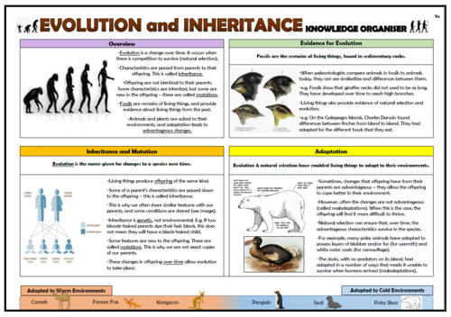 Year 6 Evolution and Inheritance Knowledge Organiser! | Teaching Resources