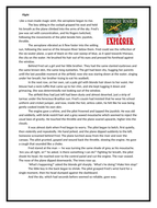 Whole Class Reading - The Explorer | Teaching Resources