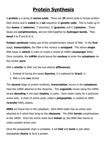 Protein synthesis - Cloze activity | Teaching Resources