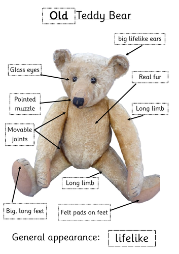 Old New Teddy Bear Label | Teaching Resources
