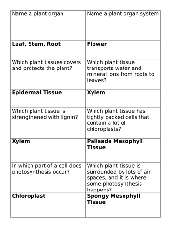 Plant Organisation Review Quiz Cards | Teaching Resources