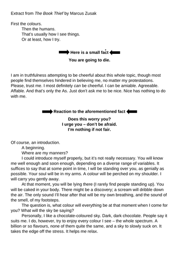 Year 9 Reading Comprehension Test Using The Book Thief by Marcus Zusak ...