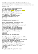 The Owl and the Pussycat rhyming words | Teaching Resources