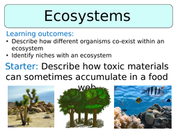 KS3 ~ Year 8 ~ Ecosystems | Teaching Resources