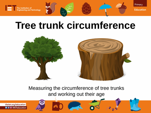 Tree trunk circumference | Teaching Resources