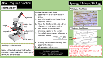 AQA Biology required practical - Microscopy | Teaching Resources