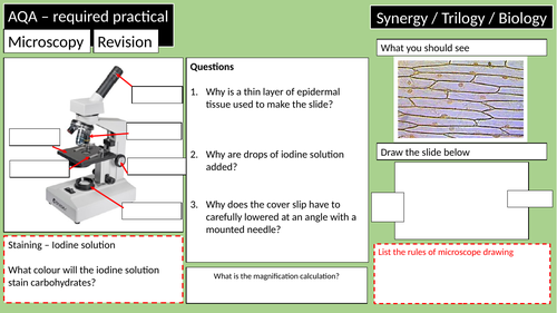 AQA Biology required practical - microscopy - Revision | Teaching Resources