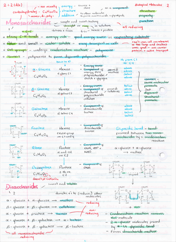OCR A Level Biology Biological Molecules Revision Poster | Teaching ...