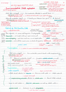 OCR A Level Biology Nucleic Acids Revision Poster | Teaching Resources