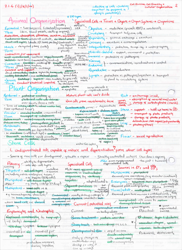 OCR A Level Biology Cell Division Revision Poster | Teaching Resources