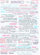 OCR A Level Biology Transport in Animals Revision Poster | Teaching ...