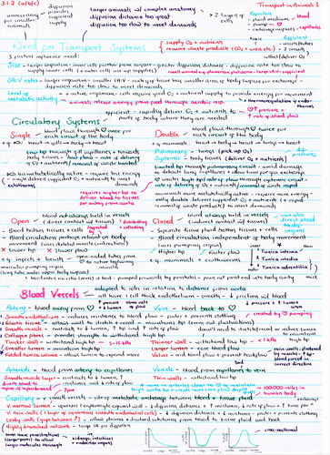 OCR A Level Biology Transport in Animals Revision Poster | Teaching ...