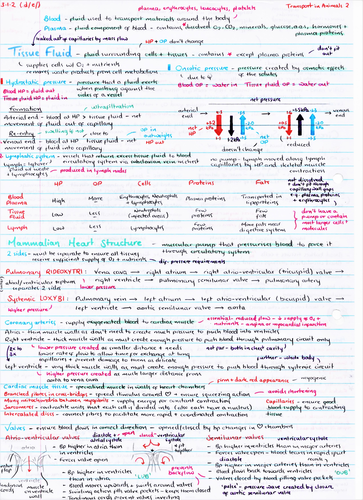 OCR A Level Biology Transport in Animals Revision Poster | Teaching ...