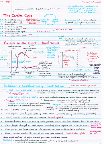 OCR A Level Biology Transport in Animals Revision Poster | Teaching ...