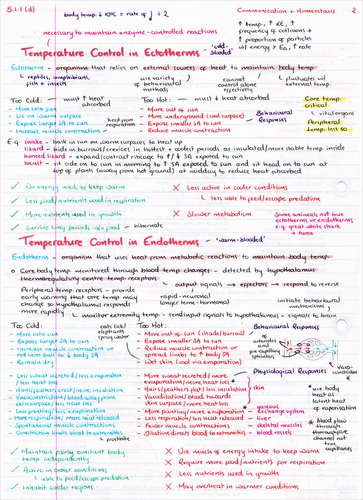 OCR A Level Biology Communication & Homeostasis Revision Poster | Teaching Resources