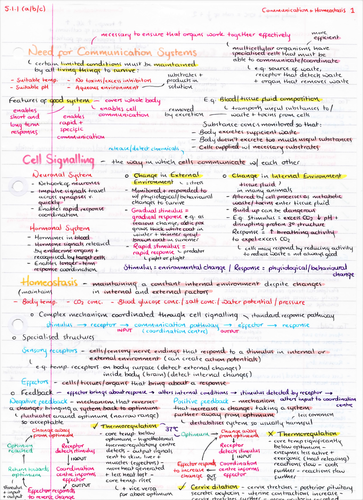 OCR A Level Biology Communication & Homeostasis Revision Poster | Teaching Resources