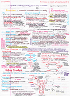 OCR A Level Biology Excretion Revision Poster | Teaching Resources
