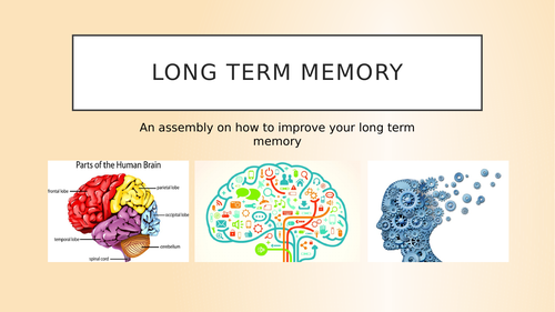 Long Term Memory Assembly | Teaching Resources