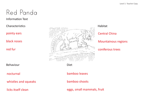 Red Panda Information Text | Teaching Resources
