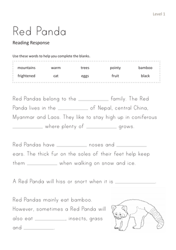 Red Panda Information Text | Teaching Resources