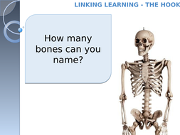Skeleton and Movement KS3 | Teaching Resources