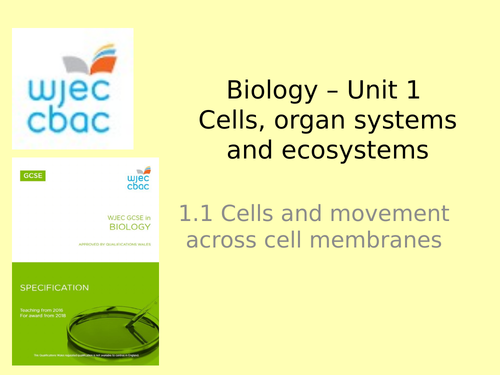 KS4 biology Cells and Movement Across Membranes | Teaching Resources