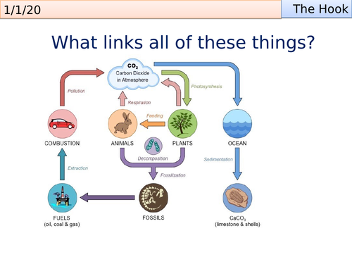 Full Carbon Cycle Lesson | Teaching Resources