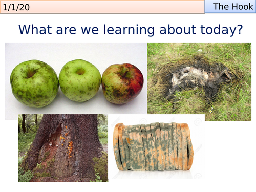 Decay - full lesson | Teaching Resources