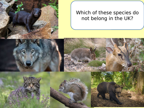 KS4 biology Classification and Biodiversity | Teaching Resources