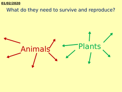 KS4 biology Classification and Biodiversity | Teaching Resources