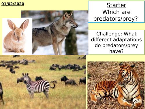 KS4 biology Classification and Biodiversity | Teaching Resources