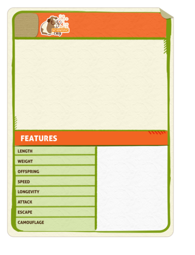 Biodiversity Cards Game (Build your own game!) | Teaching Resources