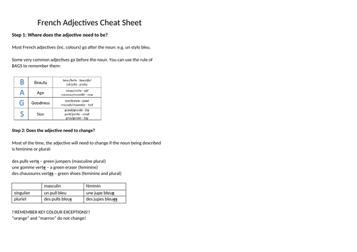 French Adjectives Bundle | Teaching Resources